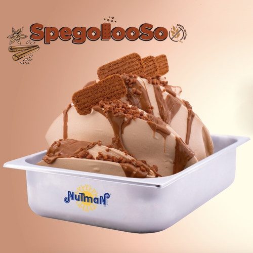 VARIEGATED SPEGOLOOSO - SPECULOOS GELATO NUTMAN 3 KG. | Nutman | bucket ...