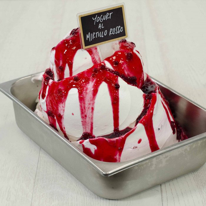 YOGURT 50 GELATO MASTER SCHOOL (IN POWDER) | Leagel | bag of 2 kg ...