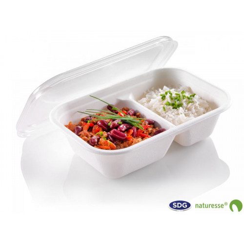 1000 ML BIO GELATO CONTAINER DOUBLE COMPARTMENT - CELLULOSE PULP WITH ...